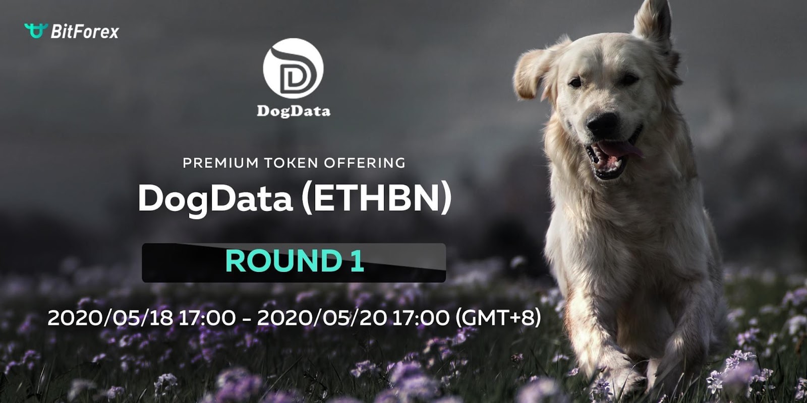 DogData leverages Immutable Blockchain Technology for Dog Microchip ...